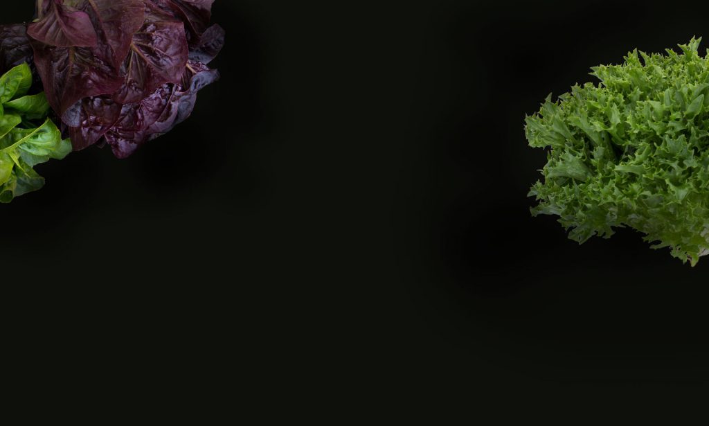 bg-lettuce - Actagro